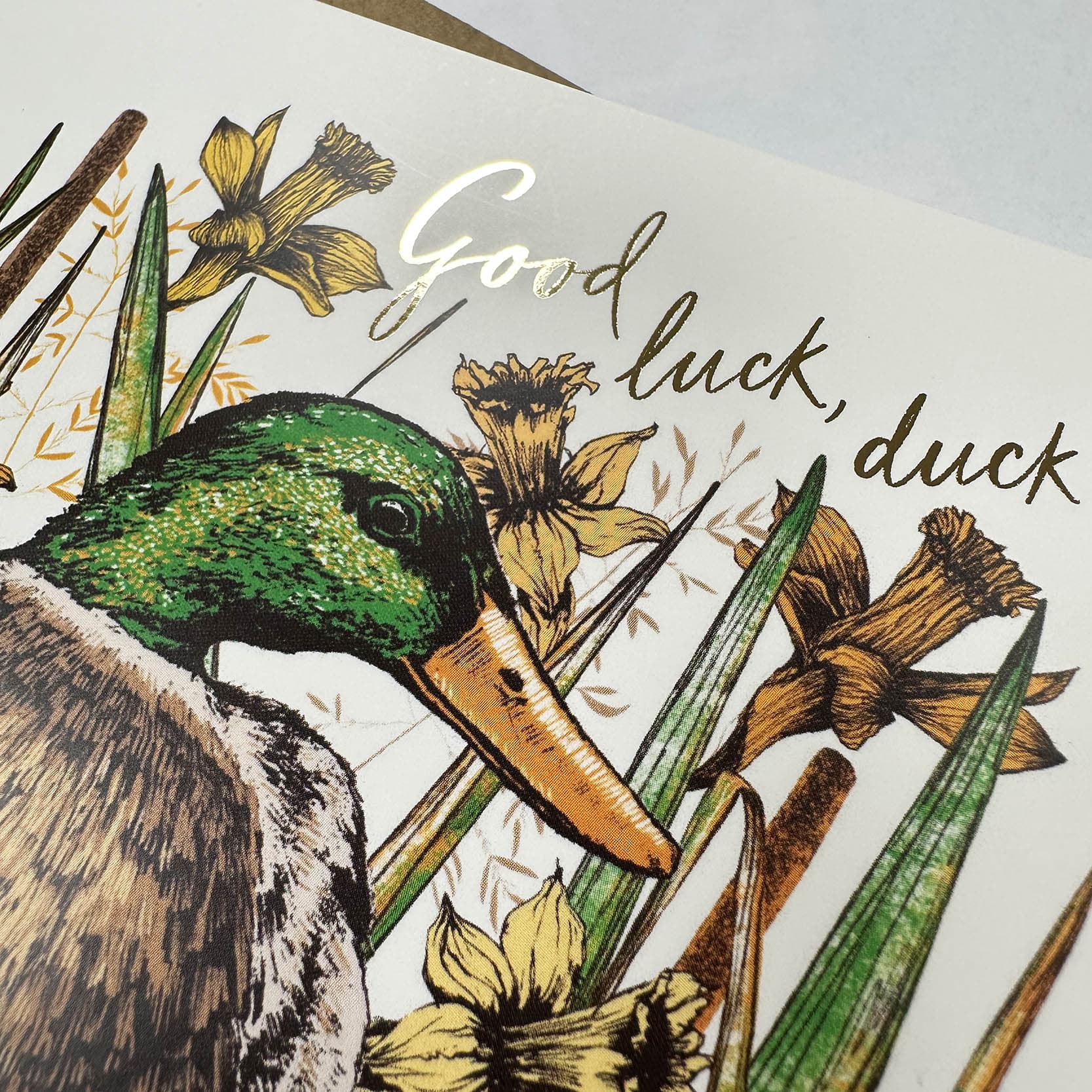 Good Luck Duck Card | Cards and Gifts by Cherith Harrison